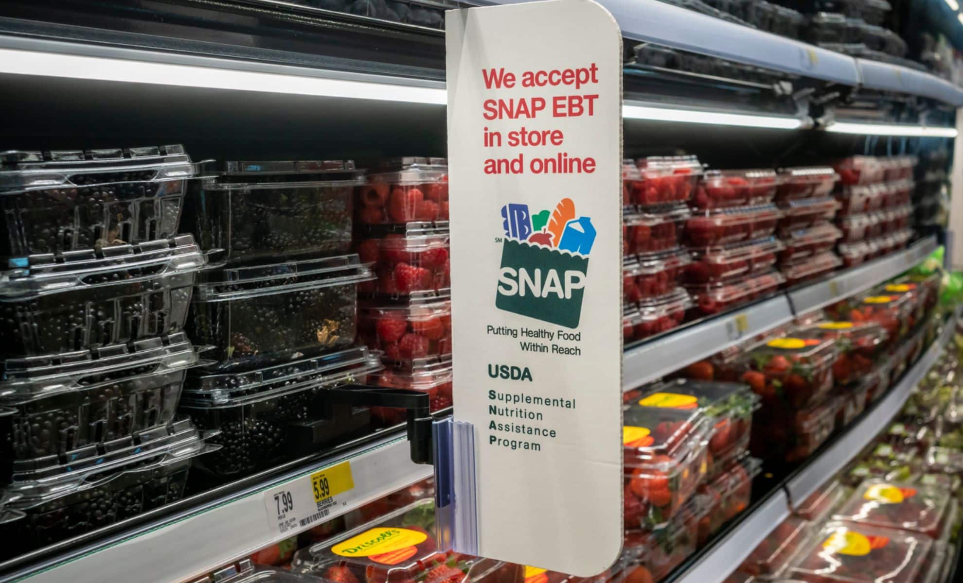 SNAP participation plunges across America, one state saw a 50% drop
