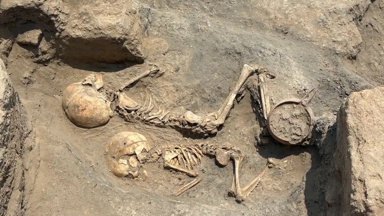 5-year-old's skull found in Uzbekistan is the oldest known evidence of ...