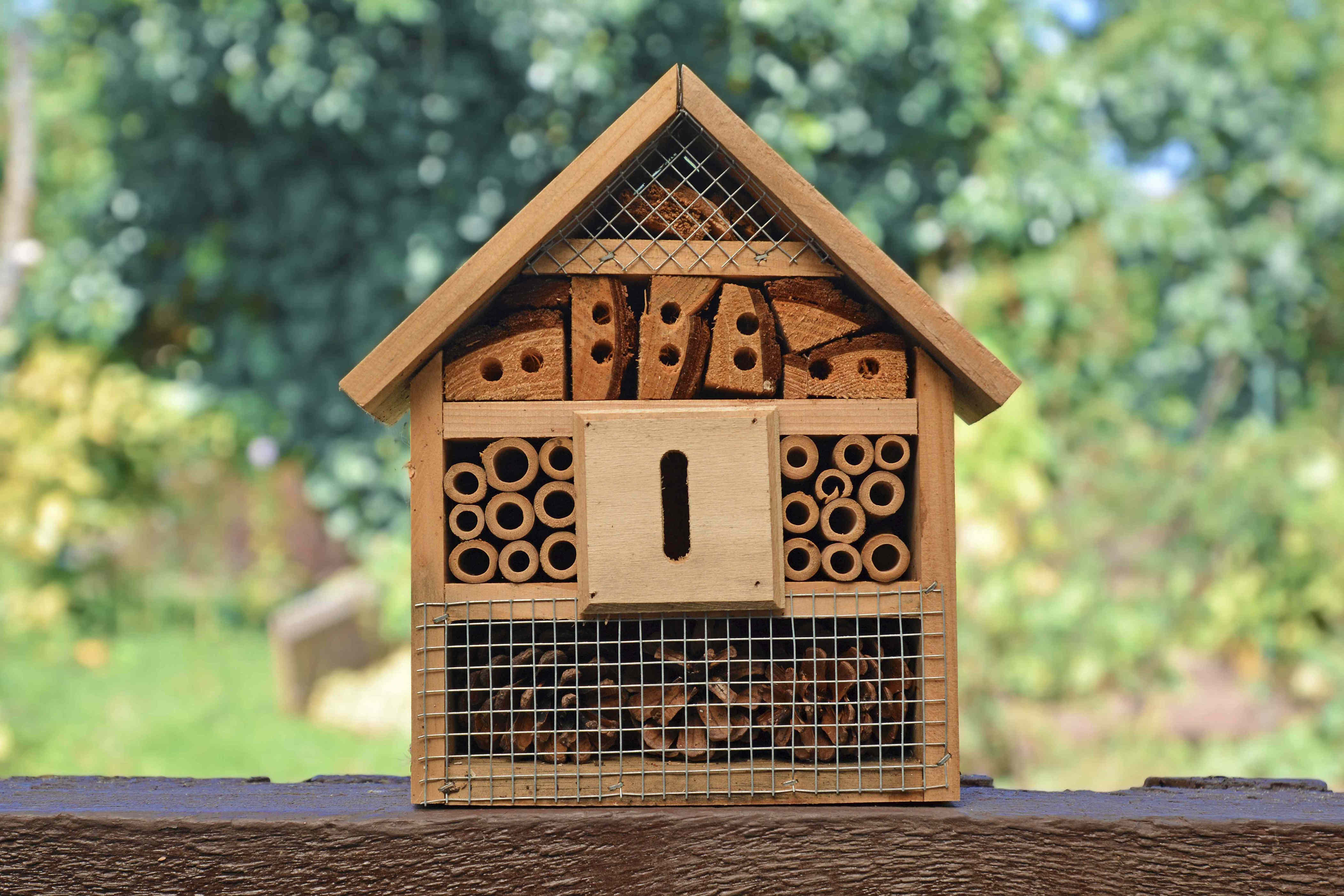 You’d never guess, but this charming house is actually the key to a ...