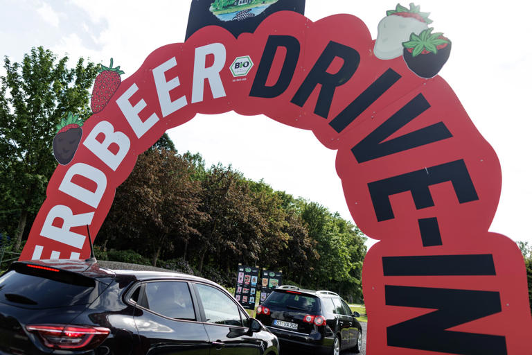 New German strawberry drive-in proves popular with hungry motorists