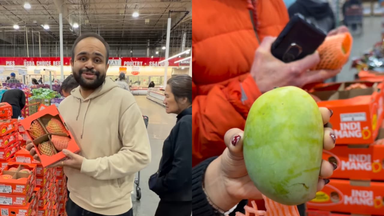 Taste of India abroad: Kesar mangoes spotted at Costco in US, video ...