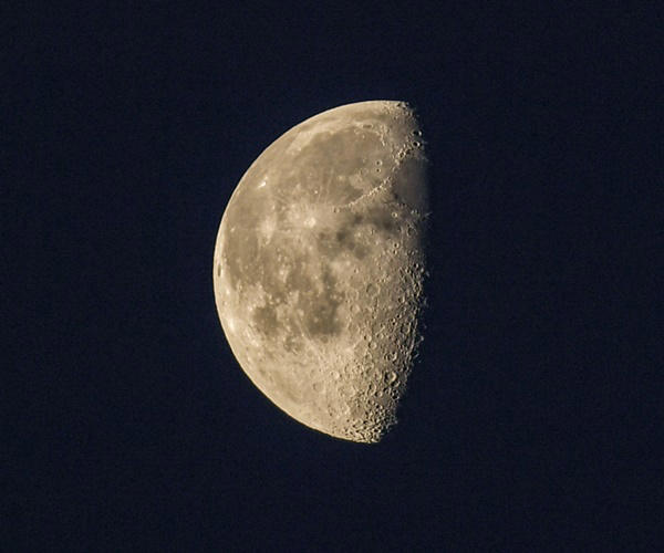 Holt, Shaffer to Newsmax: Opinions differ on moon troop presence