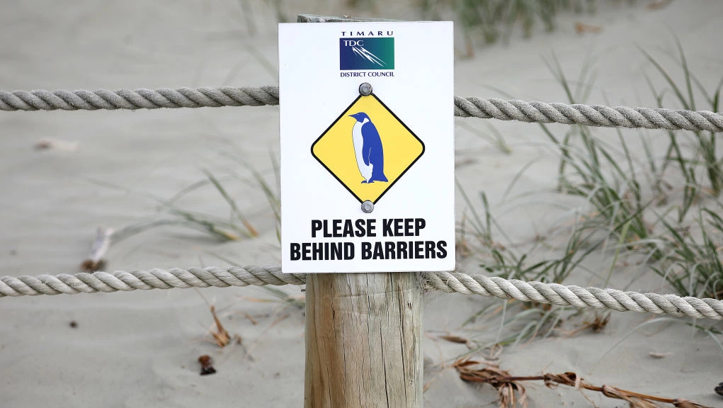 15 unusual rules with practical purposes