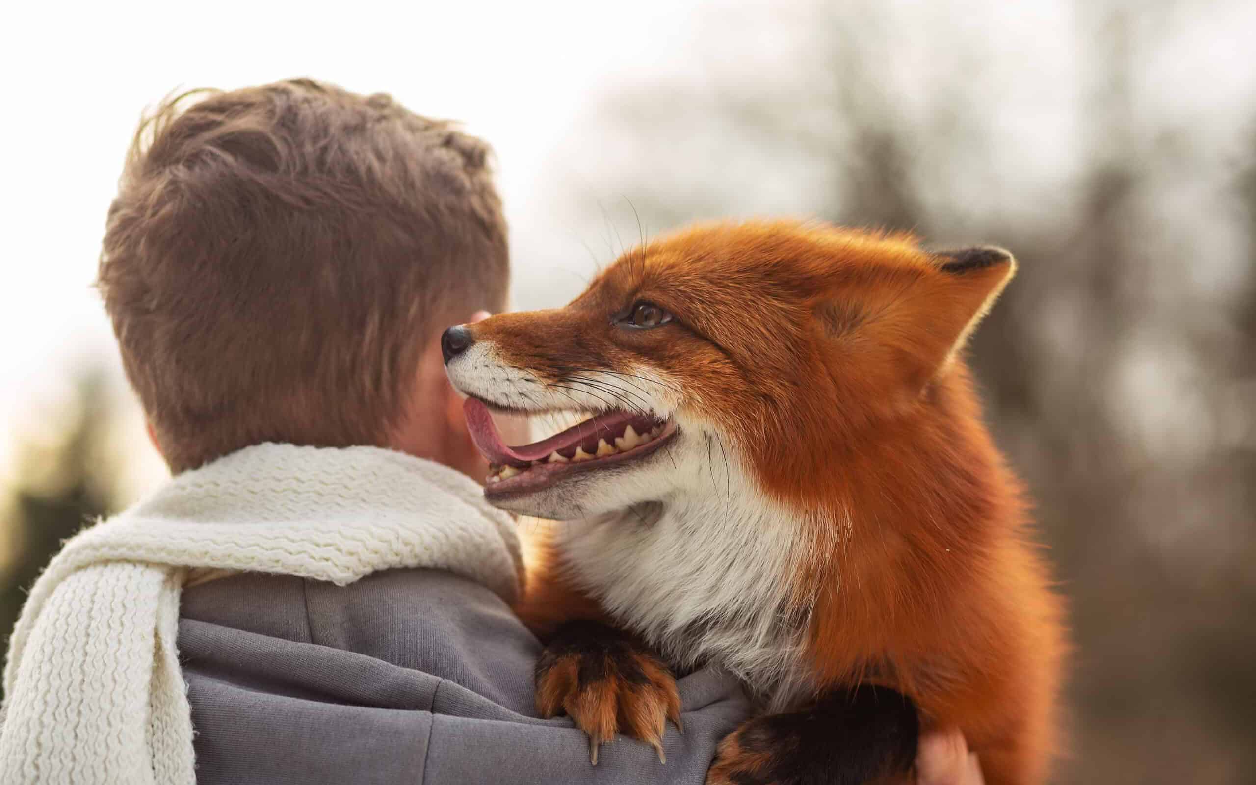 10 exotic animals that should never be kept as pets