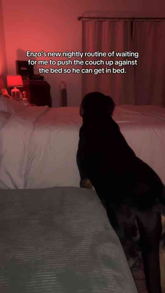 The bedtime hack that changed everything