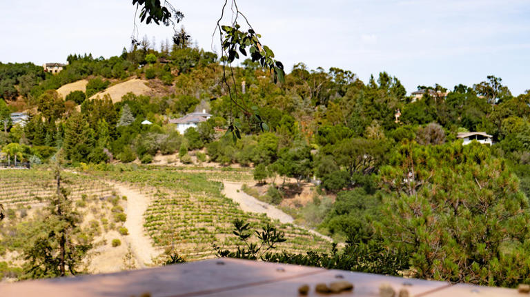 California's once-thriving quarry near San Jose is now a scenic park ...