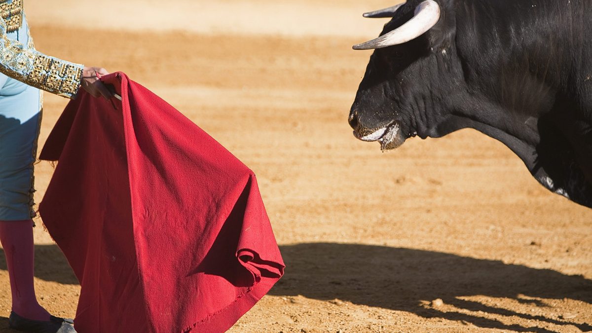 Il Tribunale amministrativo di Bordeaux ha sospeso la corrida di La ...