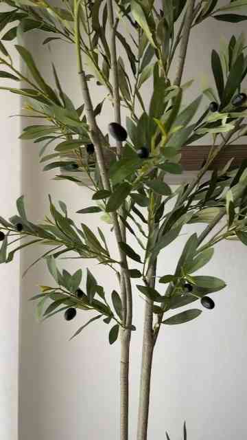 Affordable faux tree for small modern spaces