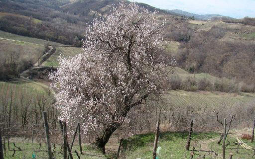 Si chiude con grande successo la primavera nelle oltre 100 oasi WWF