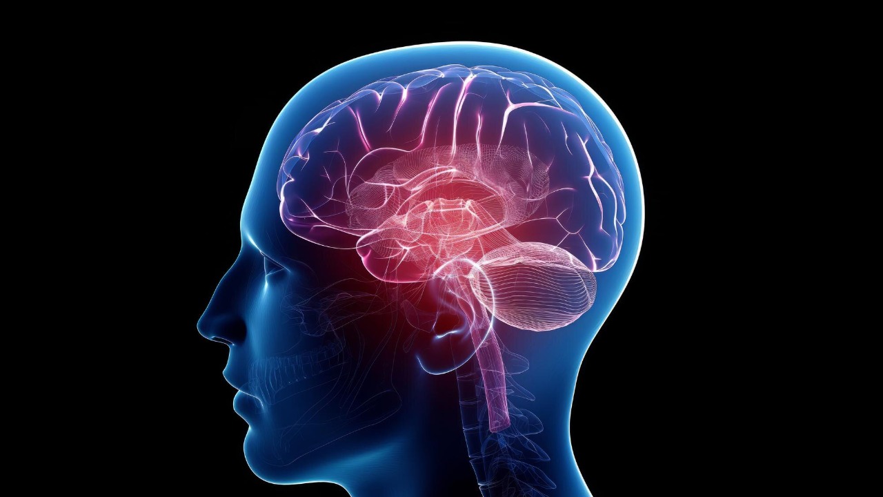 Scientists just mapped a brand-new gut-to-brain signal that pushes ...