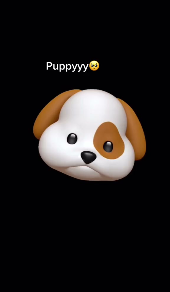 Cute talking puppy says I see you
