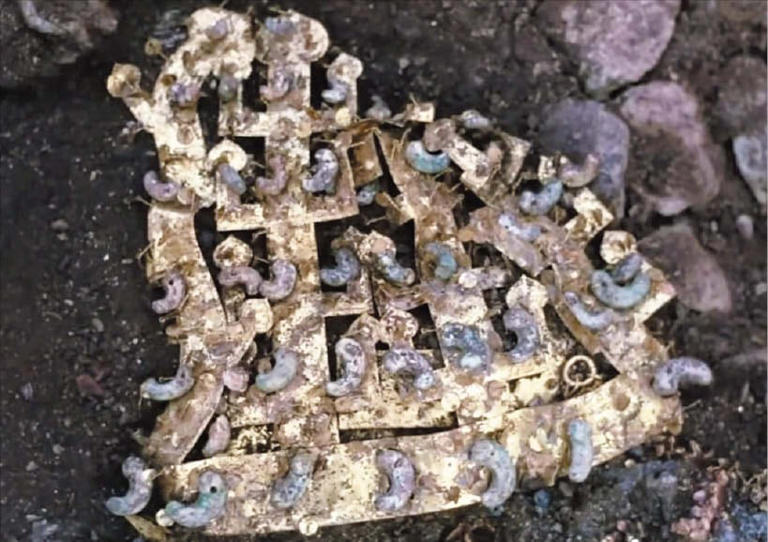Silla gold crowns: Worn or death masks?