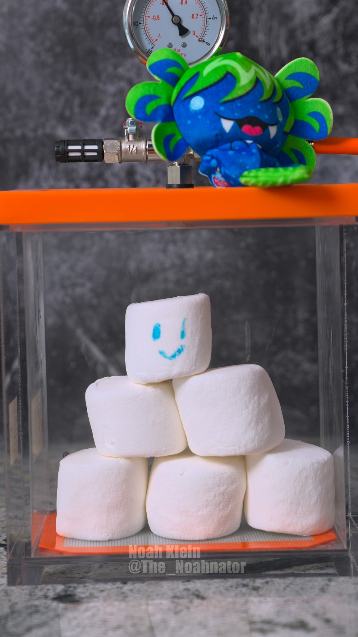 Vacuum chamber vs jumbo marshmallows