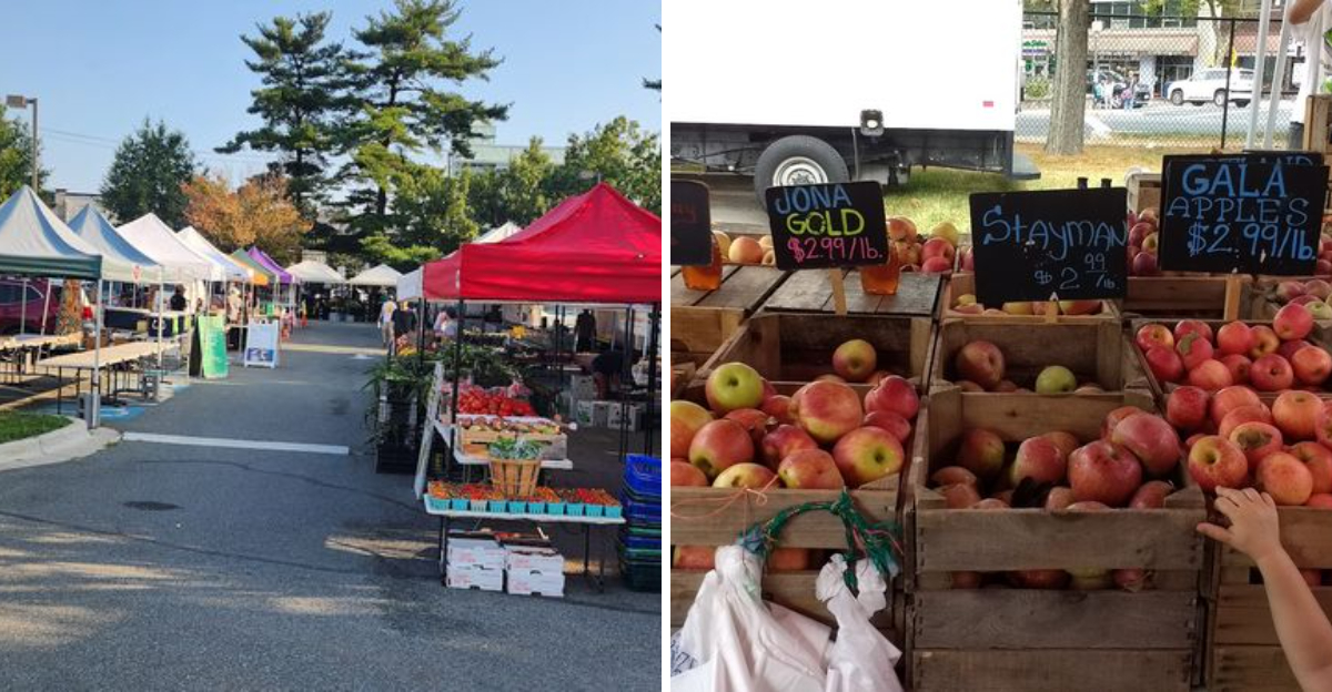 This outdoor Maryland farmers market has locals completely loyal to its ...