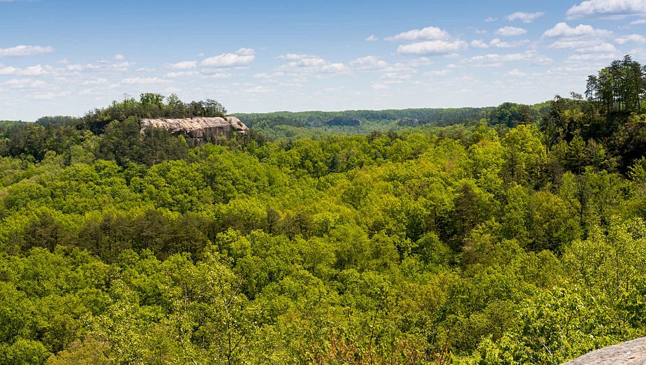 Finding Red River Gorge’s secret views