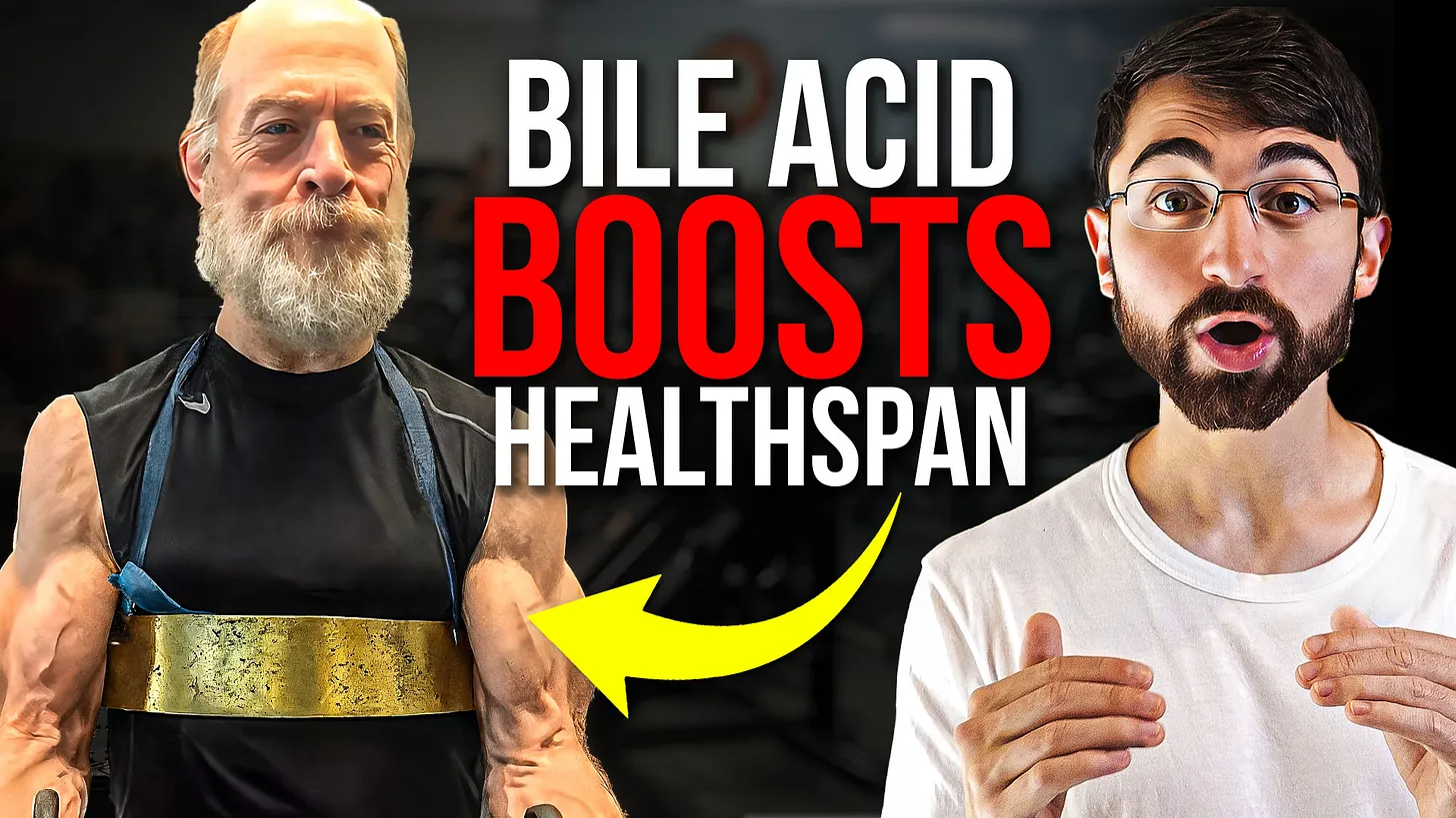 The gut molecule that mimics caloric restriction without muscle loss