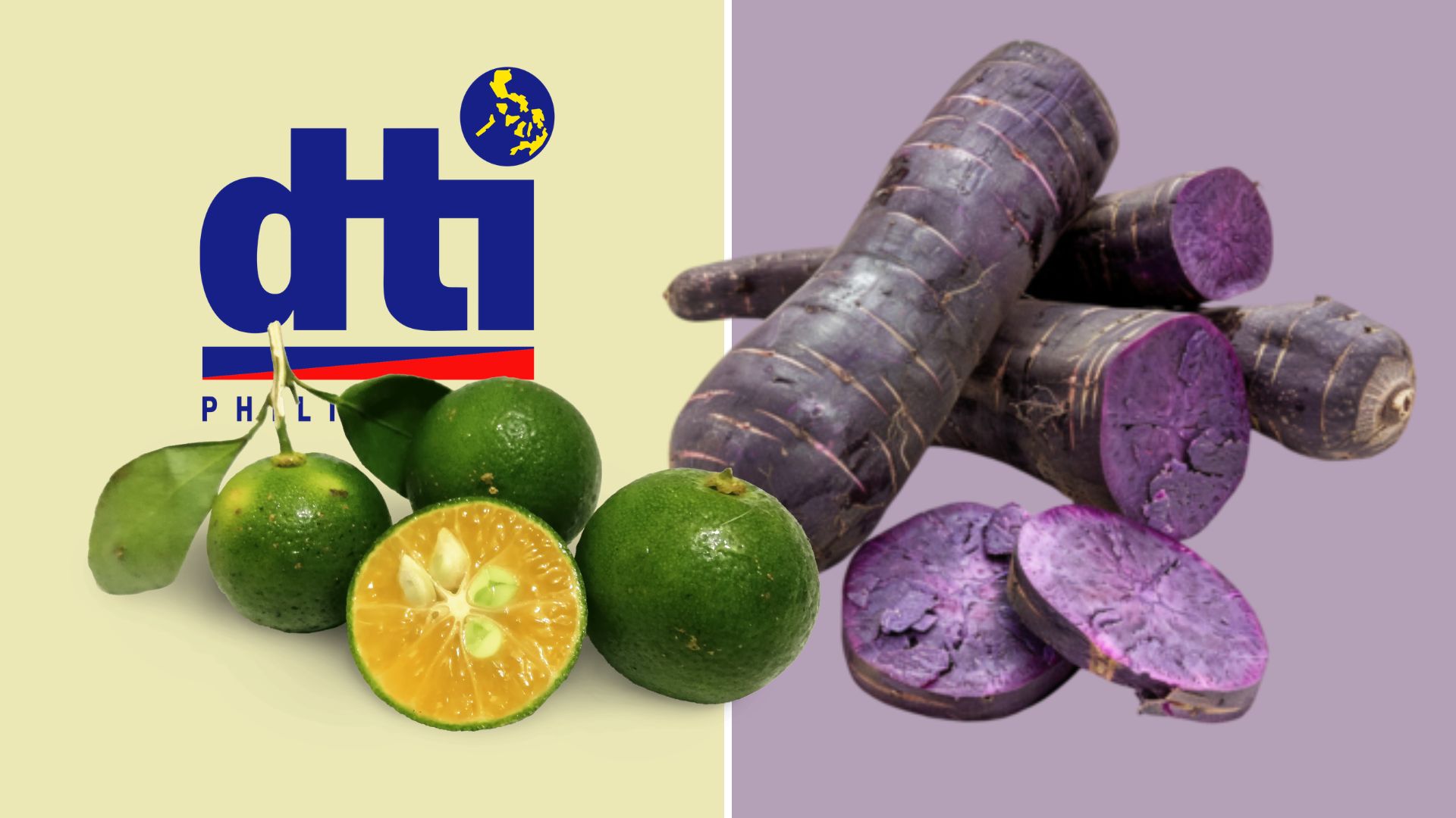 DTI sees ube, calamansi as export 'rising stars' amid coconut gains