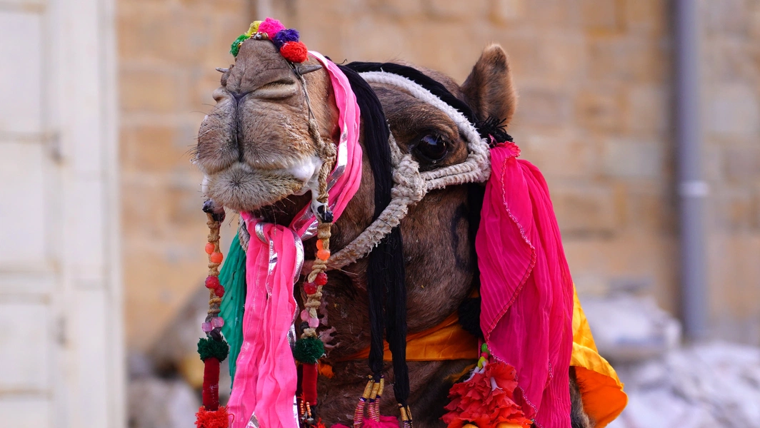 Tiffany Trump gets state guest welcome in Jaisalmer