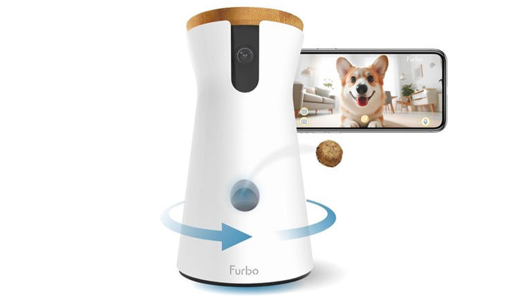 10 of the best gadgets on Amazon for dog lovers
