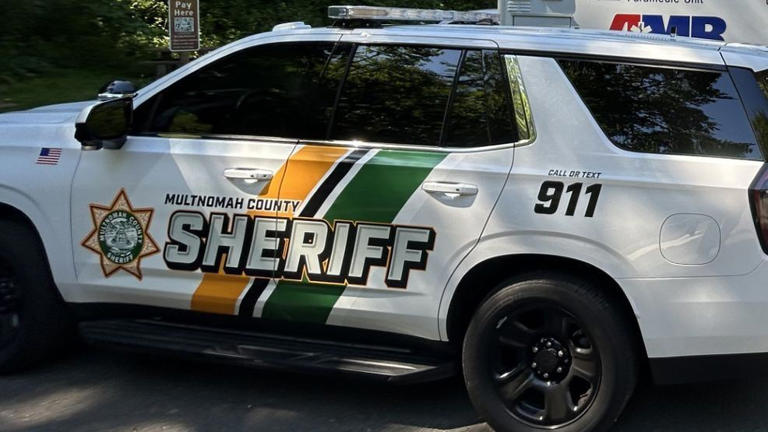 Road rage near Pleasant Valley ends in gunshots