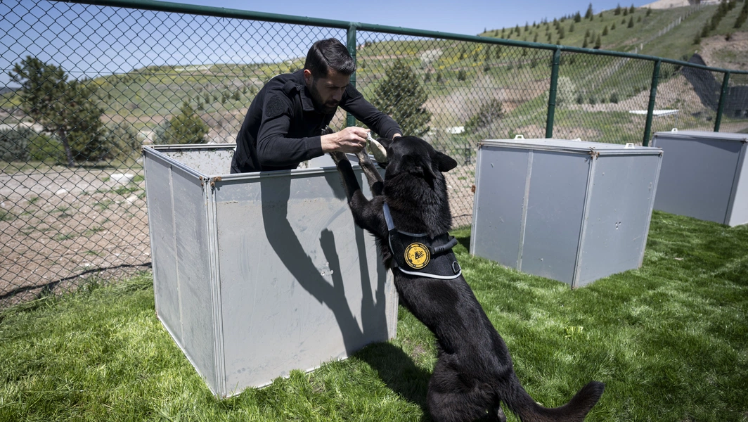 Finding the perfect guard dog for your family