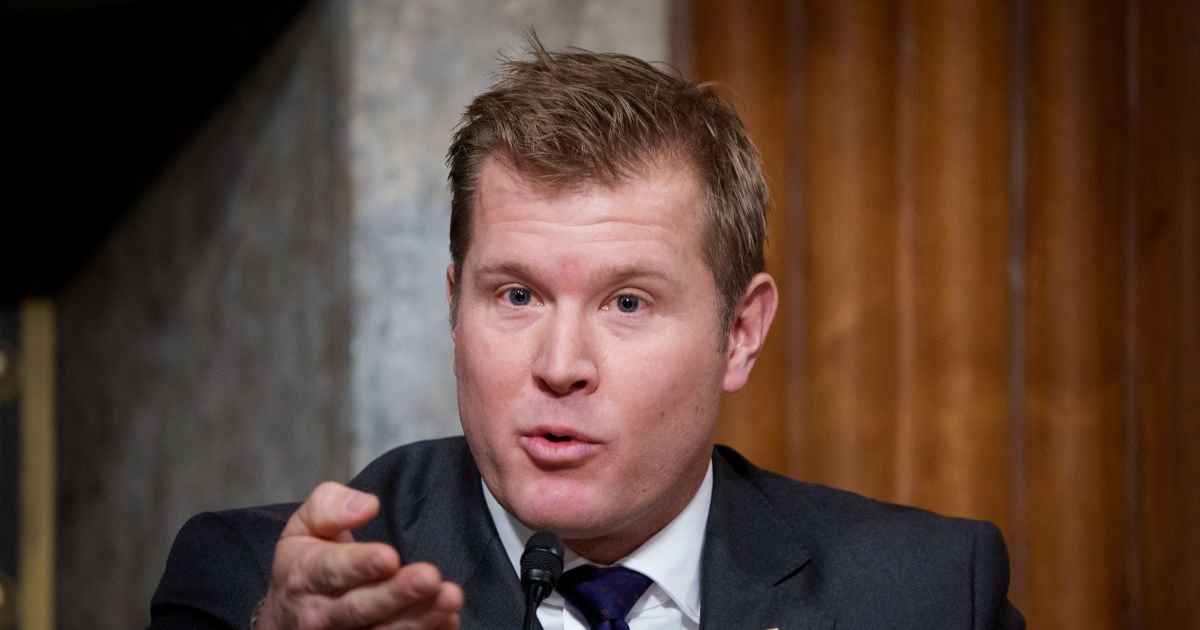 Infected lab monkey bites government employee in the US, GOP senator ...