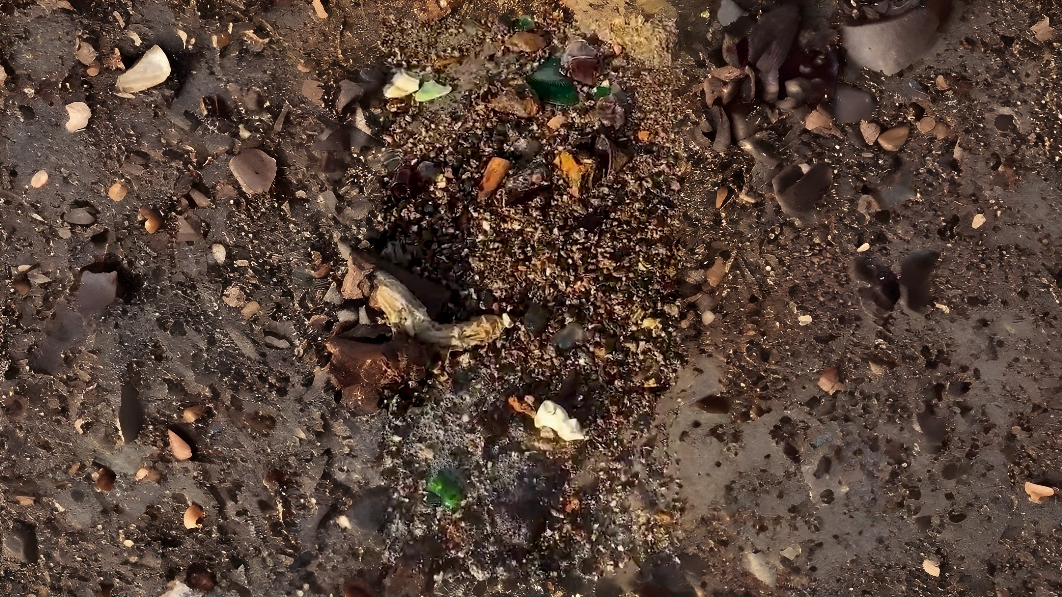 Mudlarking finds: toys, marbles and more