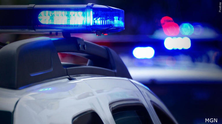 Marion drug bust nets 12 lbs. of cannabis, khat and a gun, police say
