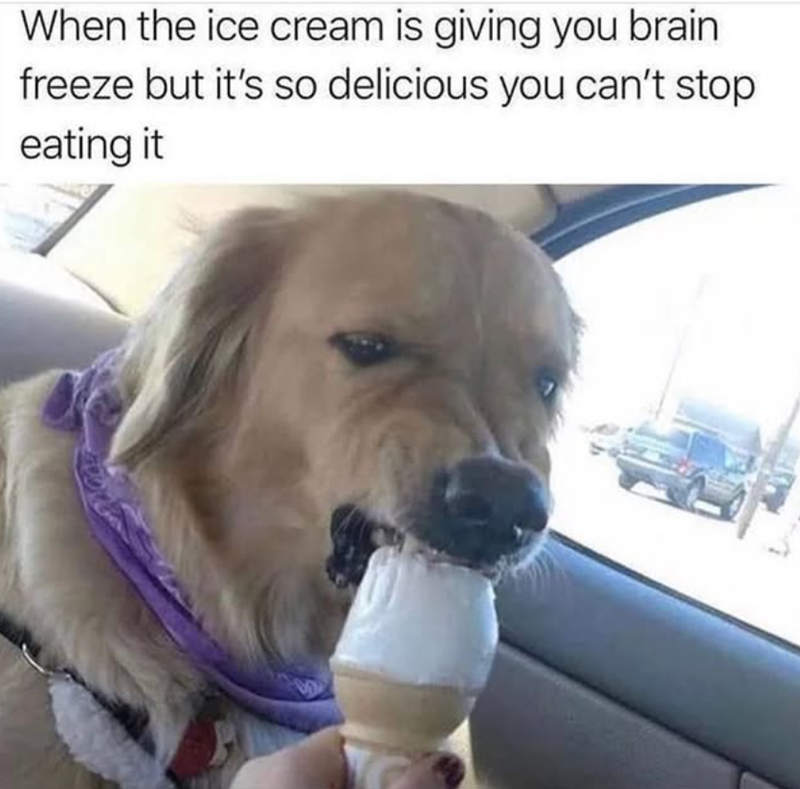 A sweet selection of ice cream memes for people powered by sugar and ...
