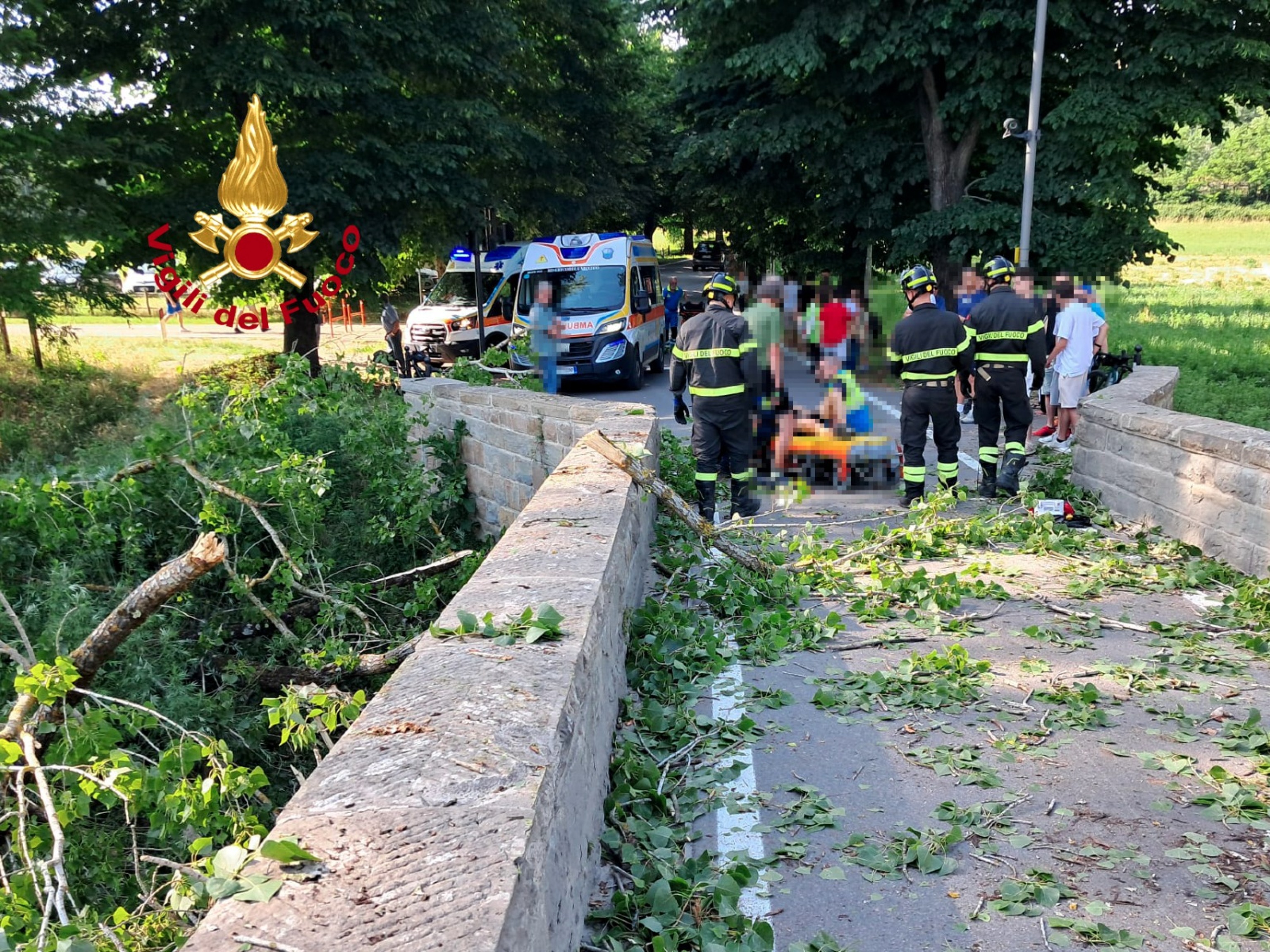 Cade ramo di un albero a Vicchio, ferita donna in bicicletta