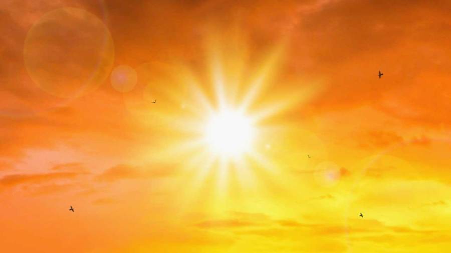Why our bodies need sunlight