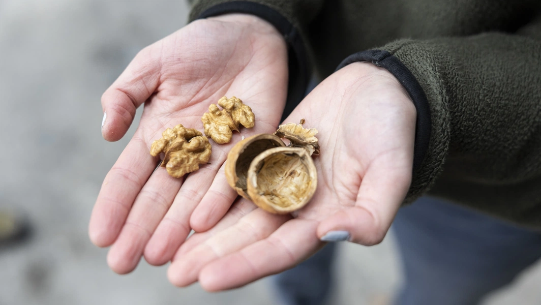 9 nutrient-packed nuts for health and wellness