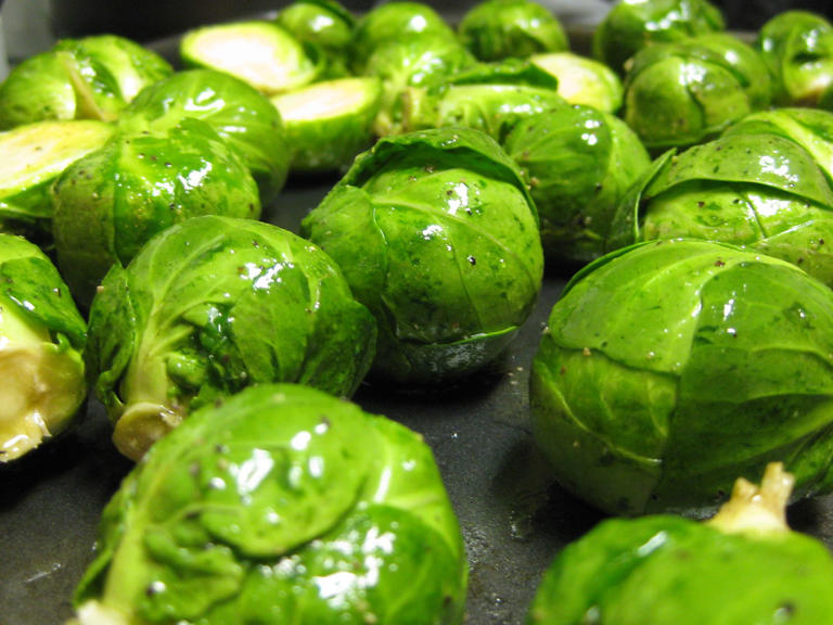 The shared ancestry of broccoli, kale, and Brussels sprouts