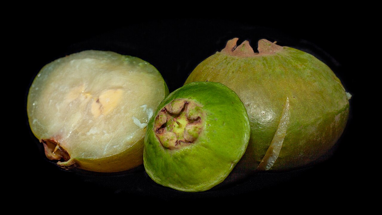Você conhece a fruta cambuci? Saiba mais sobre ela