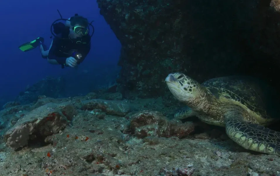 Five caves at Makena Landing highlighted for unique marine experience