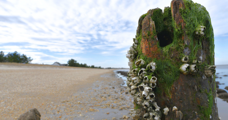 This underrated Delaware town is packed with personality