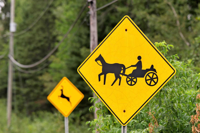 1 child dead, 2 seriously injured after Amish buggy rear-ended in ...