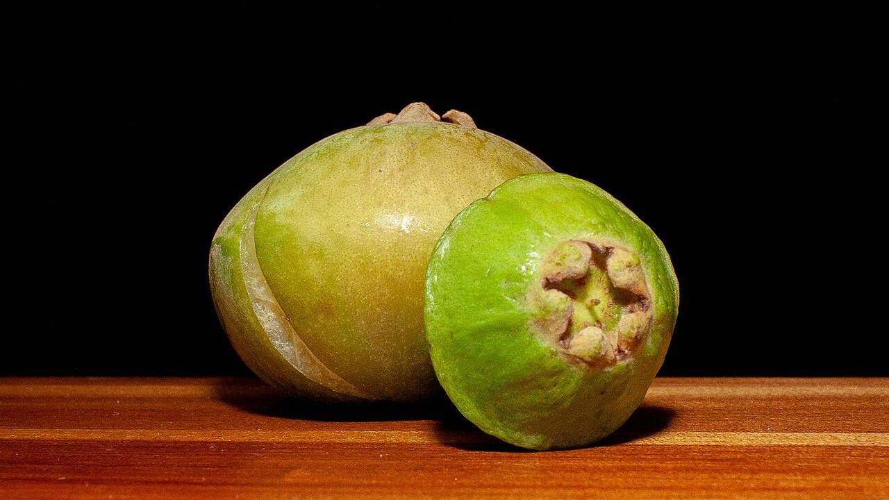 Você conhece a fruta cambuci? Saiba mais sobre ela