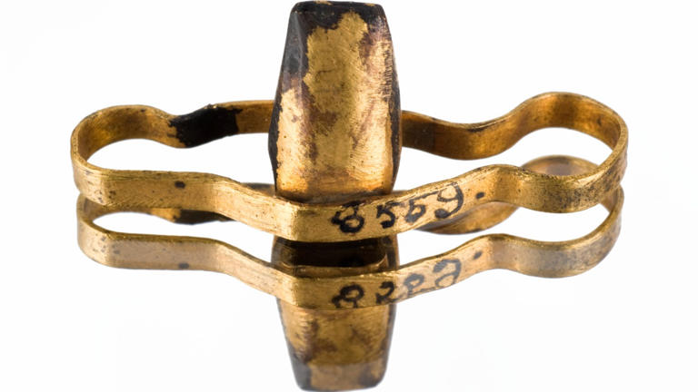 A 500-year-old gold dental bridge just surfaced in Scotland — the ...