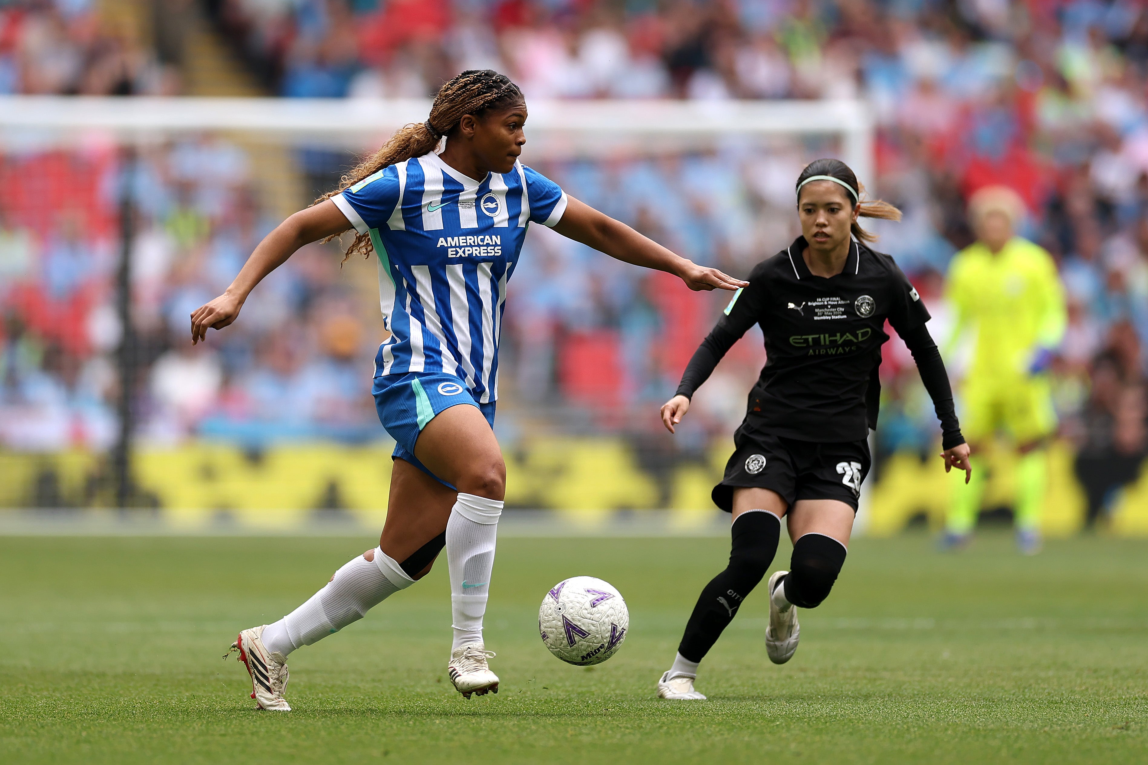 Why are there black lines on the pitch for the Women’s FA Cup final?