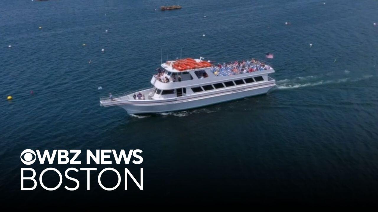 Maine cruise company offers chance to see whales, puffins and much more