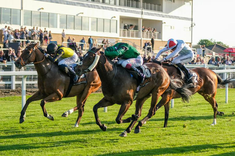'This race looks the right level for a second success' - Jason Heavey's ...