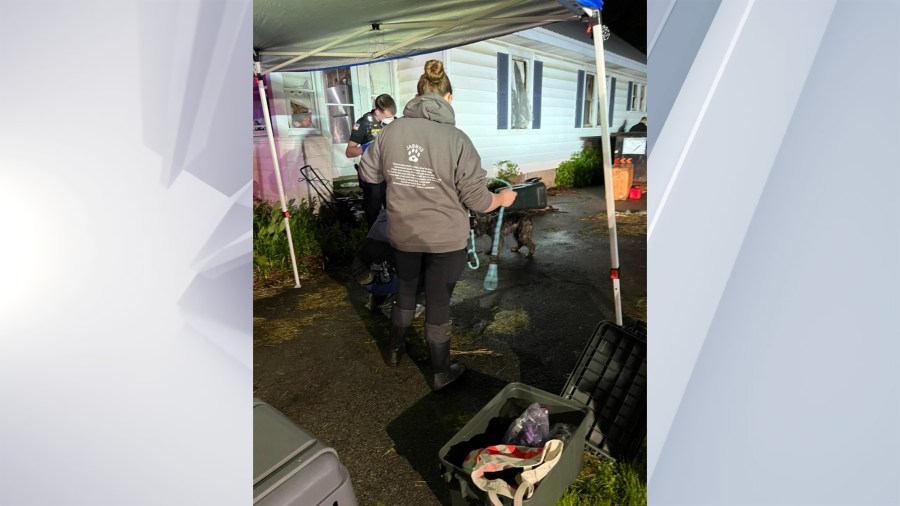 27 dogs rescued from home in Johnstown, man arrested