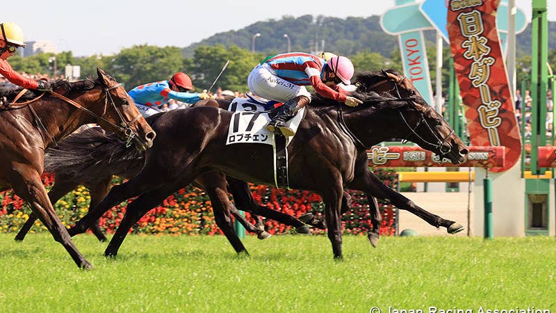 'A lot to look forward to': Lovcen notches second classic in Japanese Derby