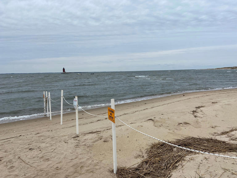 How cold is the ocean in Delaware? Chilly enough to be safety concern