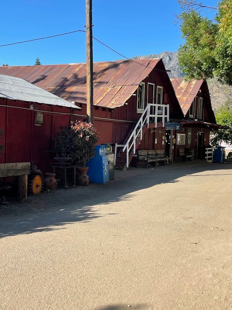 The California mountain orchard where famous mini apple cider donuts ...