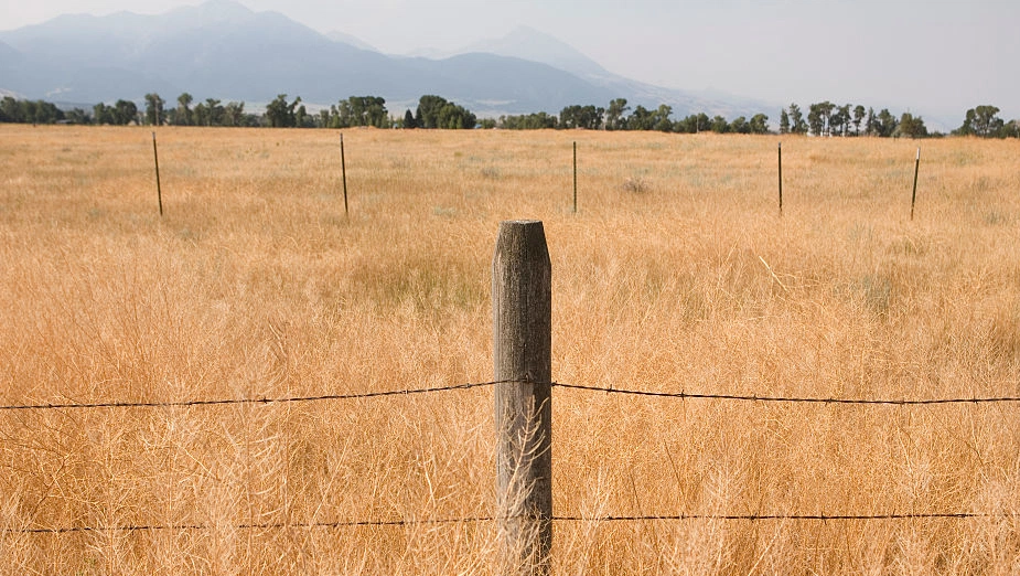 How squatters’ rights work across the United States