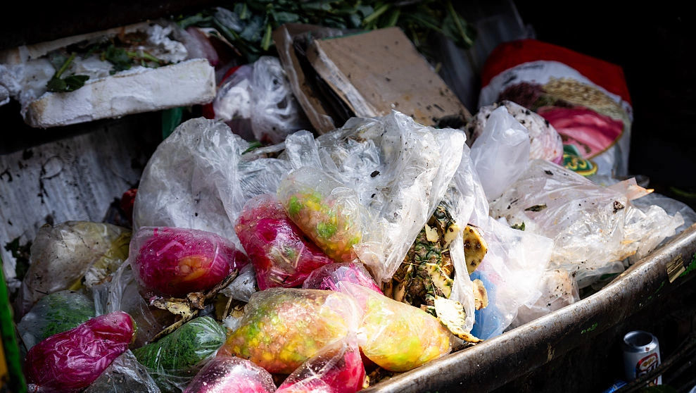 Small space hacks to cut food waste