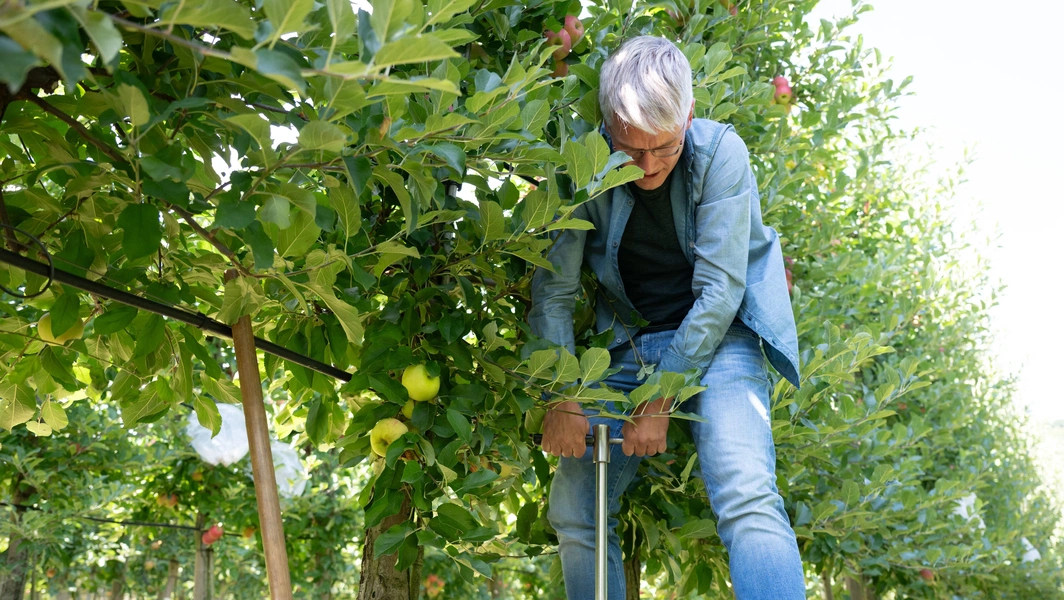 Your friendly guide to thriving fruit trees