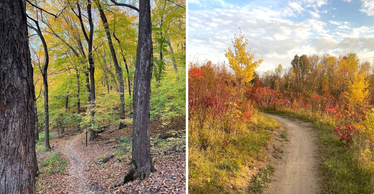 One boardwalk in Minnesota feels more like a fairy tale than a family walk